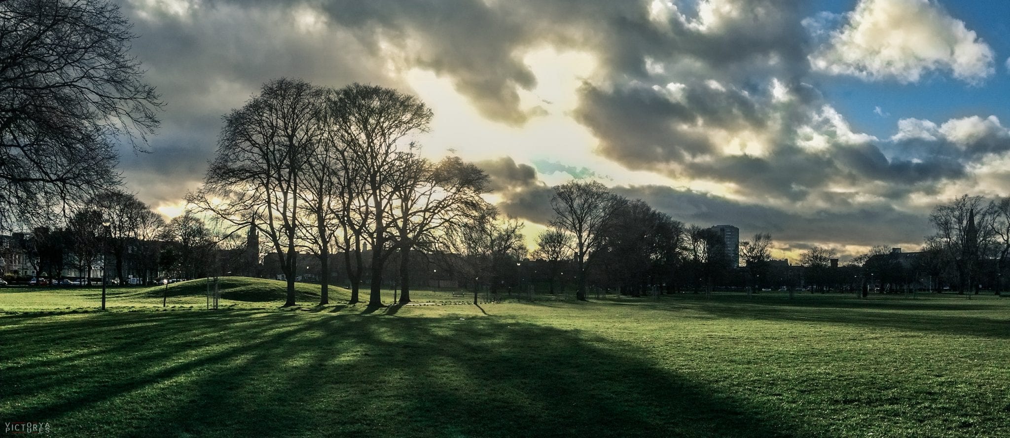 Leith Links - Cameron Stephen and Co